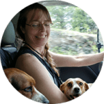 Veterinarian In Claremont, NH | Claremont Animal Hospital
